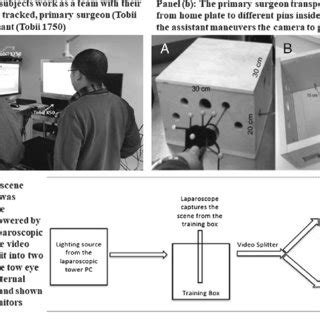 Demonstration Of Task Analysis Download Scientific Diagram