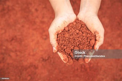 젊은 식물을 성장 하기 위하여 토양을 들고 사람들의 손 생태와 성장 공장 개념 개념에 대한 스톡 사진 및 기타 이미지 개념 나무 농부 Istock