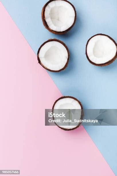 현대적인 디자인에 대 한 크리에이 티브 여름 패턴입니다 코코넛 열매 반에 최소한의 파스텔 배경 보기 가기 코코넛에 대한 스톡 사진 및 기타 이미지 Istock