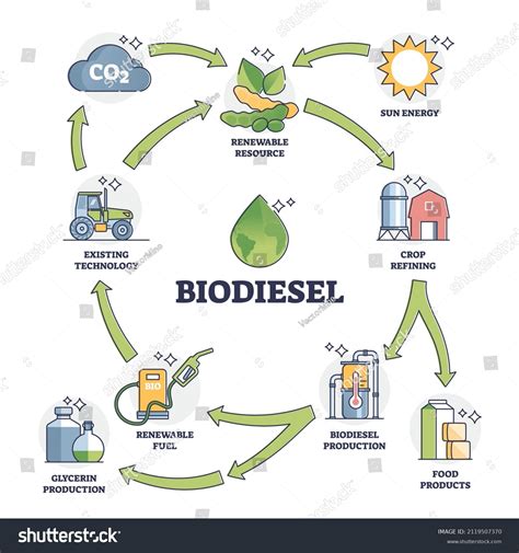 Ejemplo De Plan Comercial De Biodisel Business Guarantor