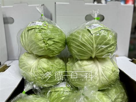 Costco好市多 有機高山高麗菜 9724577 今購百科daybuytw