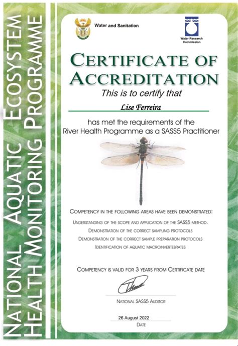 Lise Ferreira On Linkedin I Am Very Excited To Have Received My Sass5 Accreditation Certificate