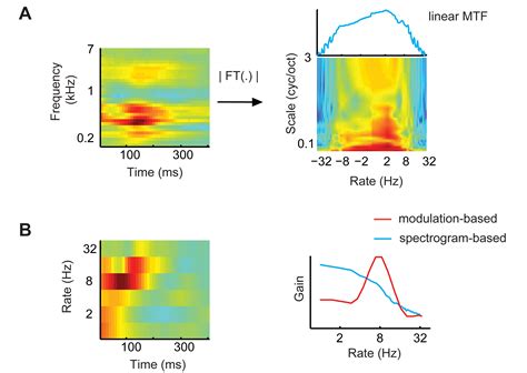 Pdf Reconstructing Speech From Human Auditory Cortex