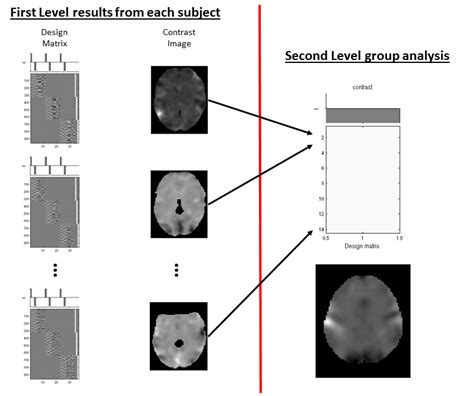 14 2nd Level Analysis Download Scientific Diagram