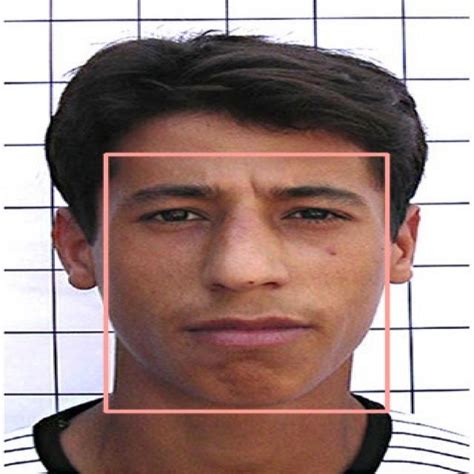 How To Use The Facedetection Object Detection Api