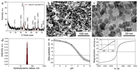 Fluorescent Magnetic Nanoparticles For Bioimaging Through Biomimetic Surface Modification