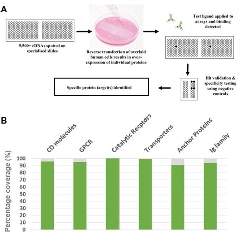 A Overview Of The Cell Microarray Technology More Than 5500 Cdnas