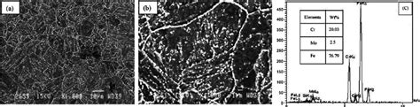 Sem Micrograph Of Air Quenched Sample After Austenitizing At 1050 C
