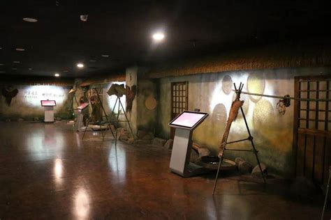 科技与艺术，沉浸式体验多媒体情景剧带你“梦回韶山”！ 搜狐大视野 搜狐新闻