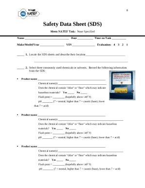 SDS Safety Data Sheets FILL Docx Doc Template PdfFiller