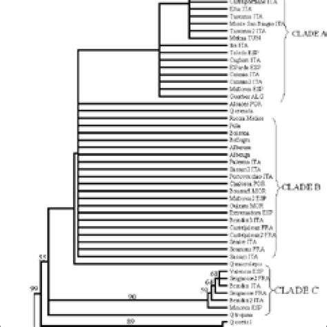 Strict Consensus Tree Of 13320 Maximum Parsimony Trees Four Of The Download Scientific Diagram