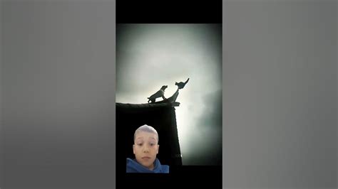 I Am A Chiil Guy Youtube