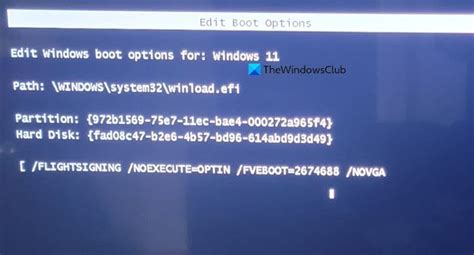 Windows Stuck At Edit Boot Options Screen Fix