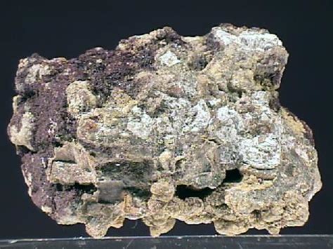 Selenium In Physiology