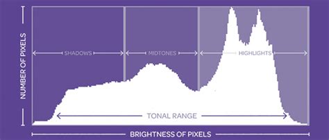 How To Read A Photo Histogram The Nerdy Photographer