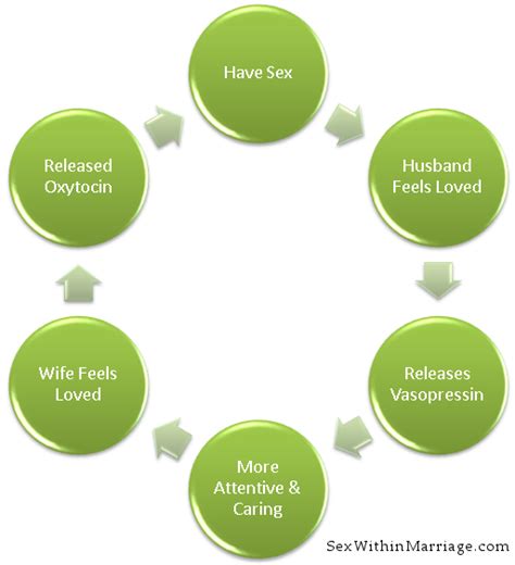 Neurochemistry Of Committed Relationships Agape Counseling St Louis