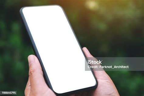 녹색 자연 배경빈 데스크톱 화면과 검은 휴대 전화를 들고 손 가득 찬에 대한 스톡 사진 및 기타 이미지 가득 찬 공란 녹색 Istock
