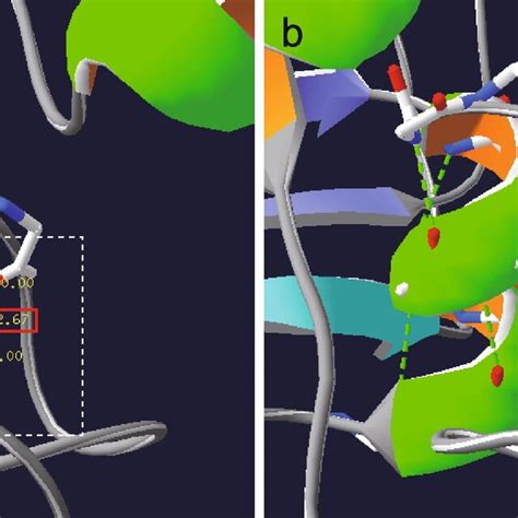 Schematic Protein Structure Of Rag1 And Species Conservation Analysis