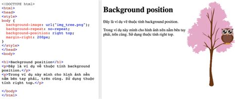Hướng Dẫn Sử Dụng Câu Lệnh Css để đặt Background Image X Y Position Css Trong Website