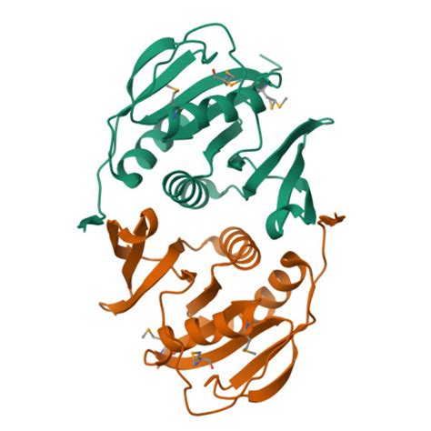 Rcsb Pdb 3fet Crystal Structure Of The Electron Transfer