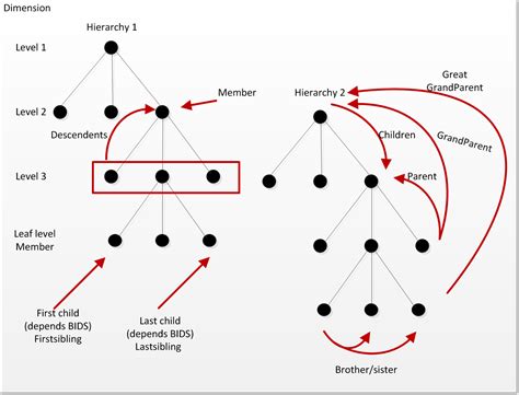 Multiple Hierarchies In Dimensions At Jorja Helms Blog