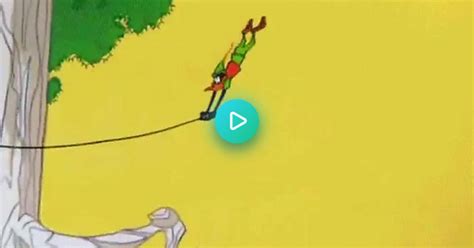 Robin Duck Album On Imgur