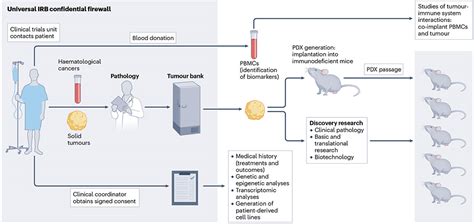 Humanized Mouse Models For Immuno Oncology Research Pmc