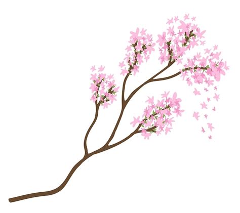 Premium Vector Sakura Branch Vector Isolated Illustration