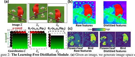 Figure 2 From Brain Mapping With Dense Features Grounding Cortical Semantic Selectivity In