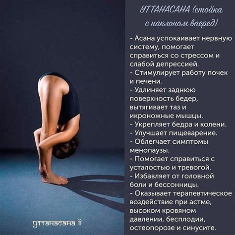 Упражнения для здоровья активности и долголетия 3 Позы йоги Упражнения Йога