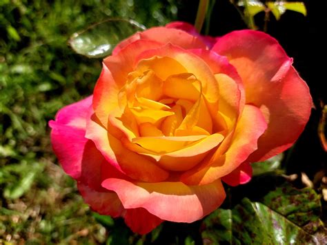 Вітання для друзів