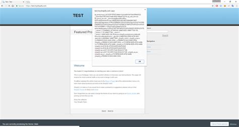 Bug Bounty Reports In Thread Bugbounty Infosec Bug Type Reflected XSS Org Shopify Bounty