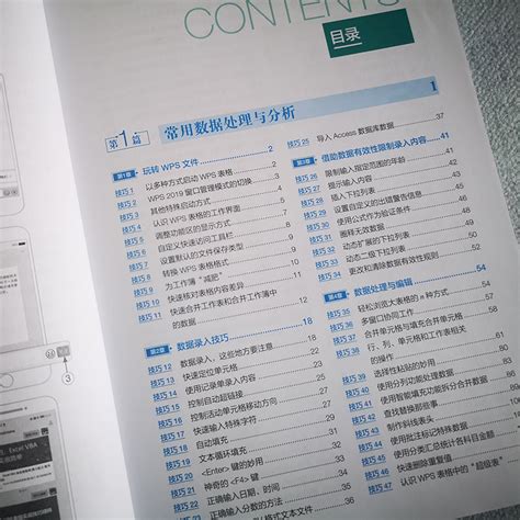 2021新书 wps表格实战技巧精粹 excel home编 excel函数公式大全计算机教程书籍自学全套办公软件零基础书电脑wps表格制作office 虎窝淘