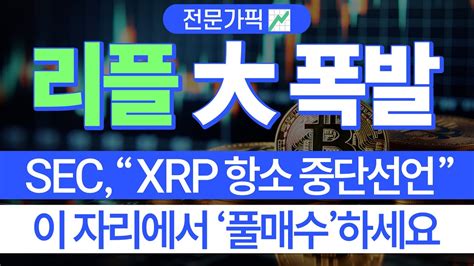 리플 전망💯 엑스알피 대응전략🏆대폭발합니다 Sec 항소 중단선언 가즈아 Xrp리플 리플전망 Xrp Xrp전망엑스알피 엑스알피전망 Youtube