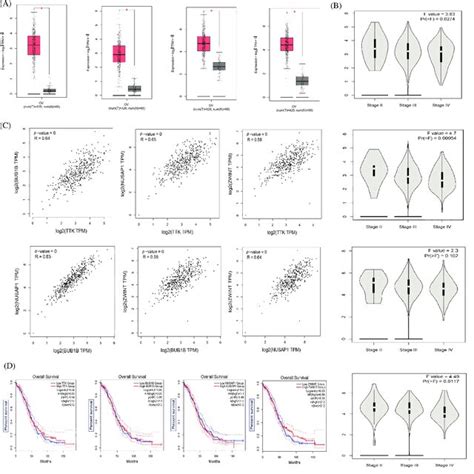 Gene Enrichment Analysis Of Ttk Bub1b Nusap1 And Zwint A Ttk Download Scientific Diagram