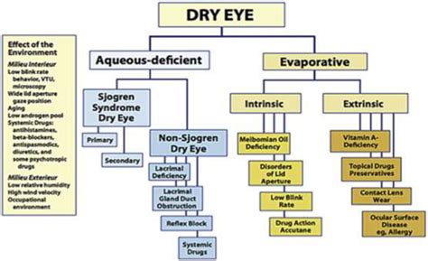 3 Major Etiological Causes Of Dry Eye Download Scientific Diagram