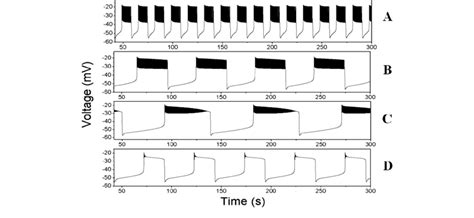 Simulation Of The Electrical Activity Of Pancreatic Beta Cells Download Scientific Diagram