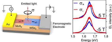 在发光范德华异质结中通过自旋注入实现谷极化 Nano Letters X Mol
