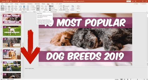 Explained What Is Notes Pane In PowerPoint Your Slide Buddy