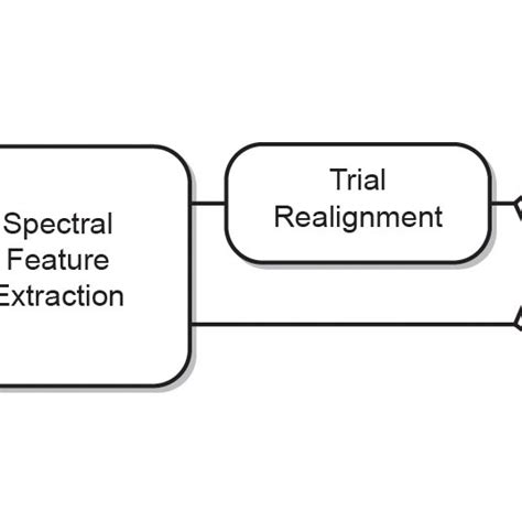 Post Hoc Analysis Workflow Abbreviations Bi Phase Locking Value Download Scientific Diagram