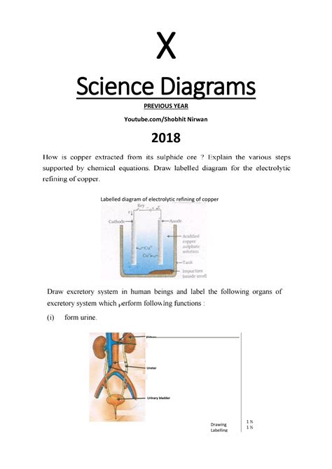 Solution Class 10 Science Important Diagrams Studypool
