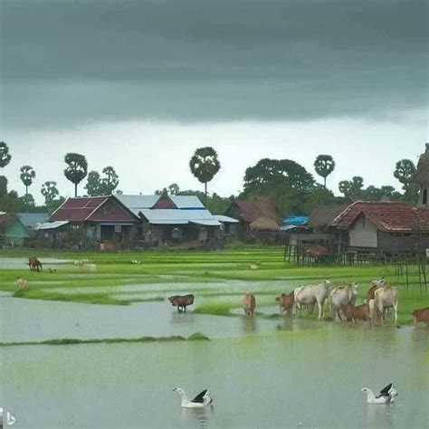 ကျောက်တံခါးမြို့နယ် ညီအကိုမောင်နှမများဆုံစည်းရာ