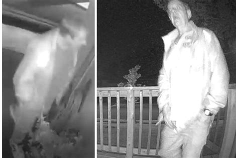 Police Get Three Reports About A Man Peering Into Windows CityNews Halifax