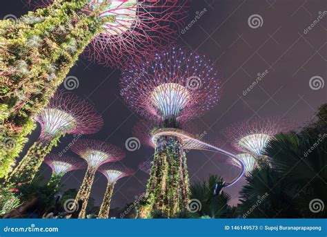 Cingapura Jardins Asiáticos De Cingapura Na Baía Lugar Famoso Para