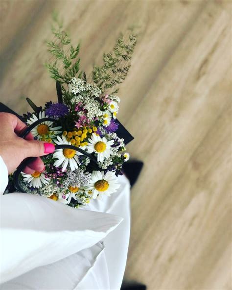 Полевые цветы