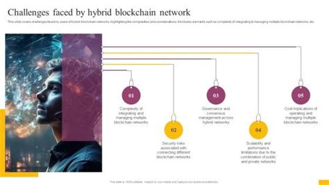 Challenges Faced By Hybrid Blockchain Network Complete Guide To
