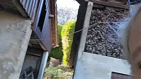 熟女在农村寻找鸡巴我发现她在谷仓里吮吸她操我并把她射在我脸上 xHamster
