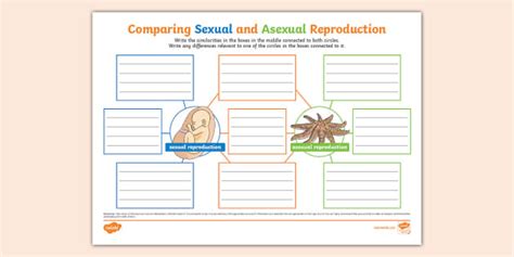 Comparing Sexual And Asexual Reproduction Mind Map Twinkl