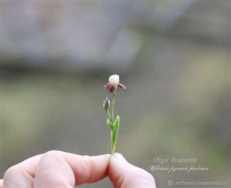Кулоны подвески ручной работы Заказать Подвеска медальон Ирисы Иванова Ольга цветочных дел