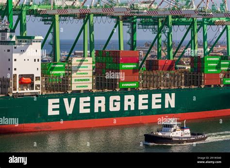 Evergreen Container Terminal Port Of Los Angeles San Pedro Southern